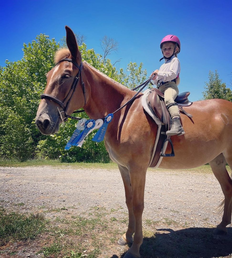 Young rider, Madison riding Daisy the Mule - Bliss of London